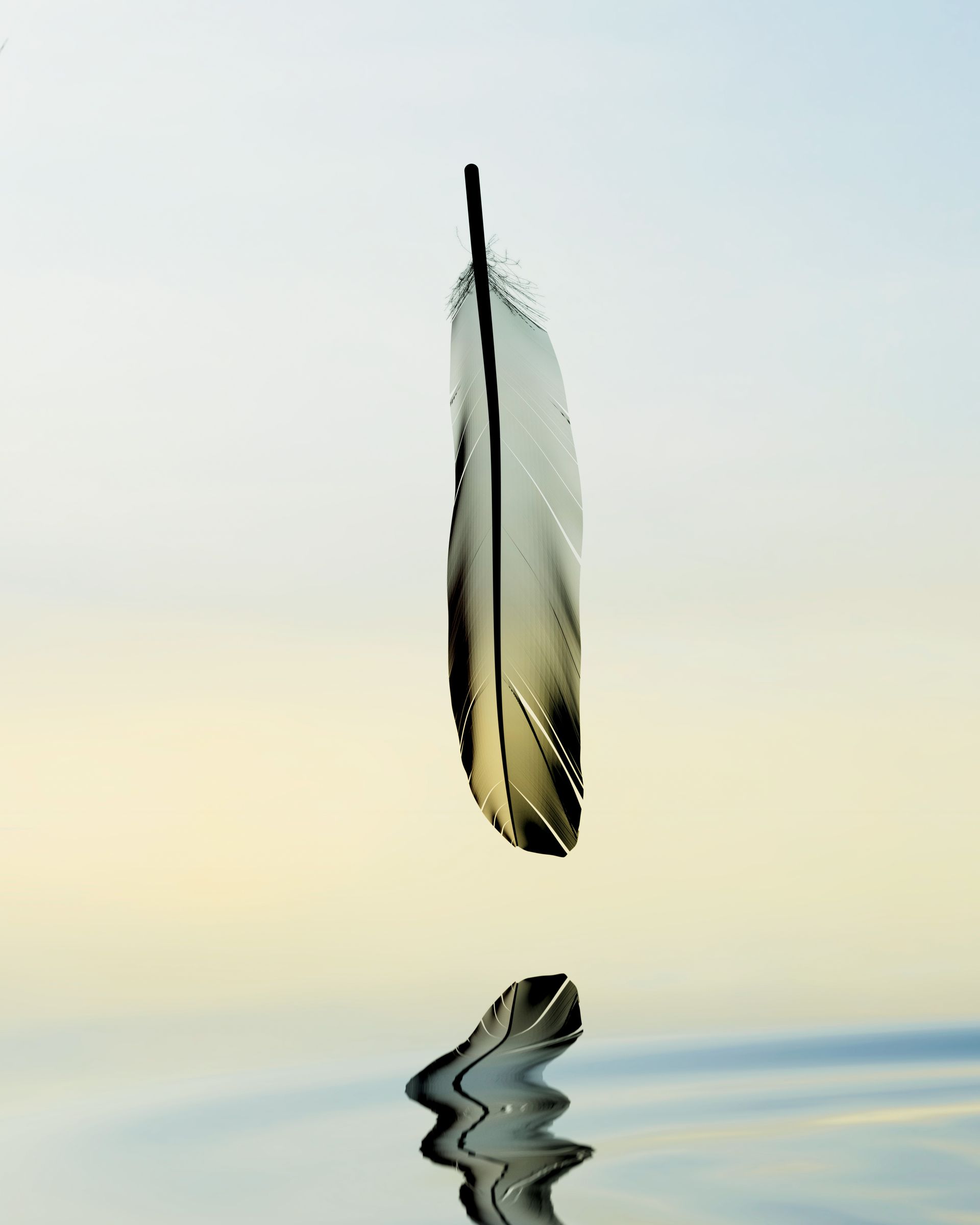 Index | Colors And The Kids