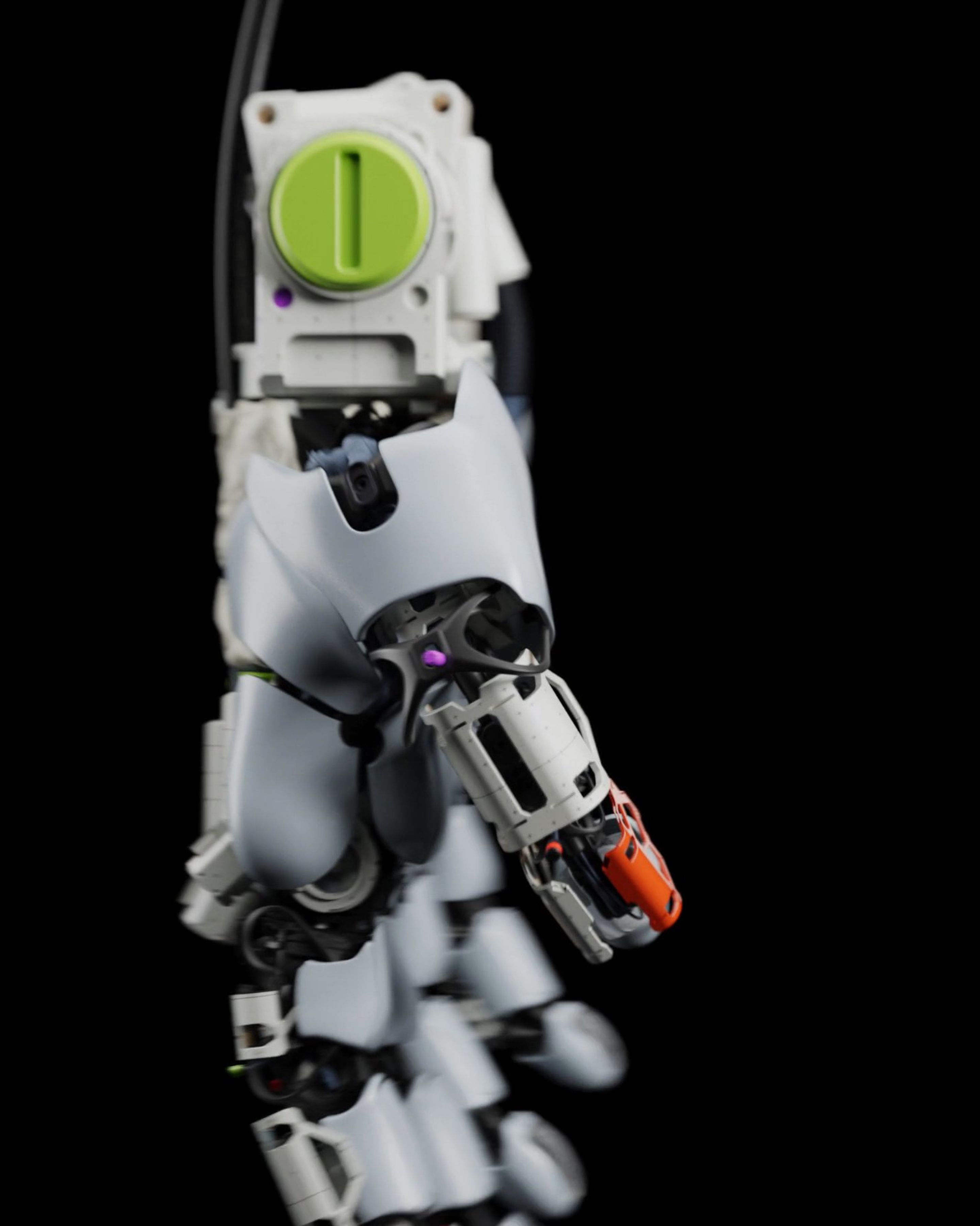 Fussel | Colors And The Kids